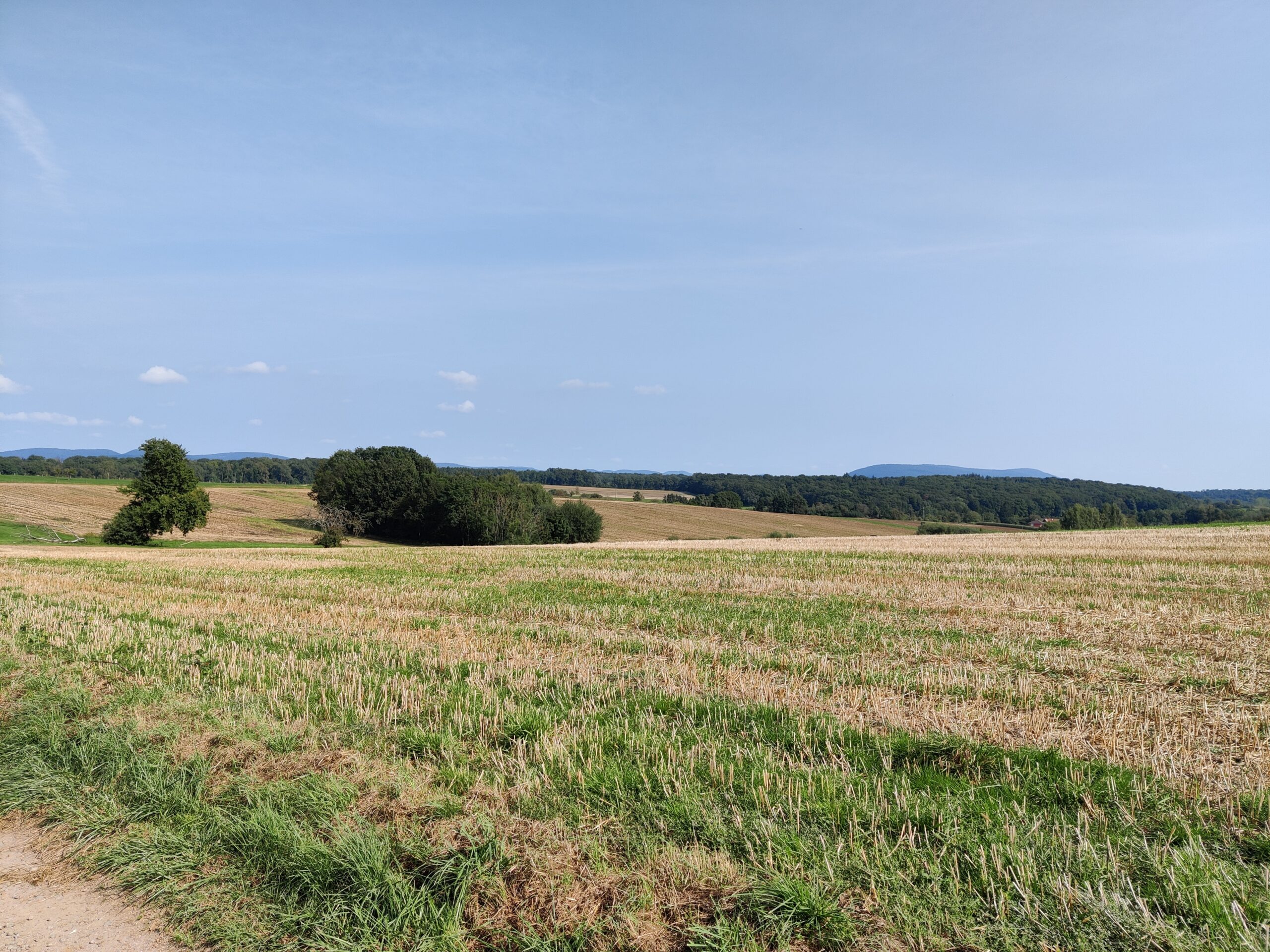RANDONNÉES - Gundershoffen
